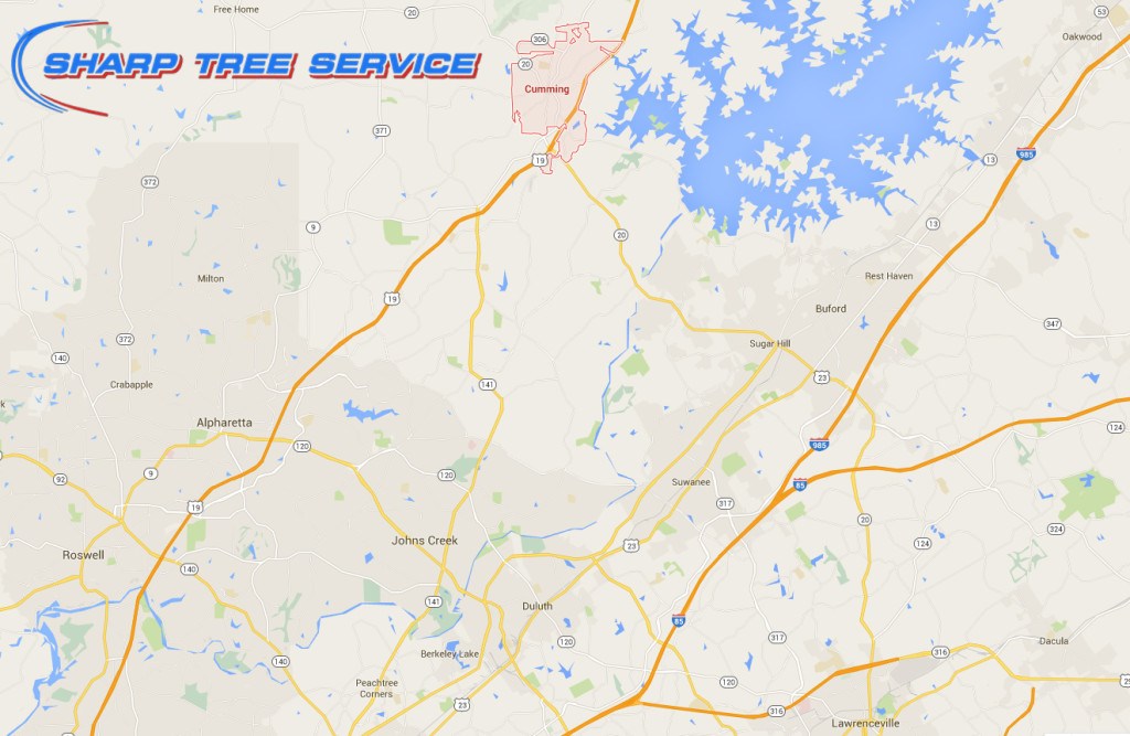 New Focus Areas - Sharp Tree Service | Cumming Tree Experts